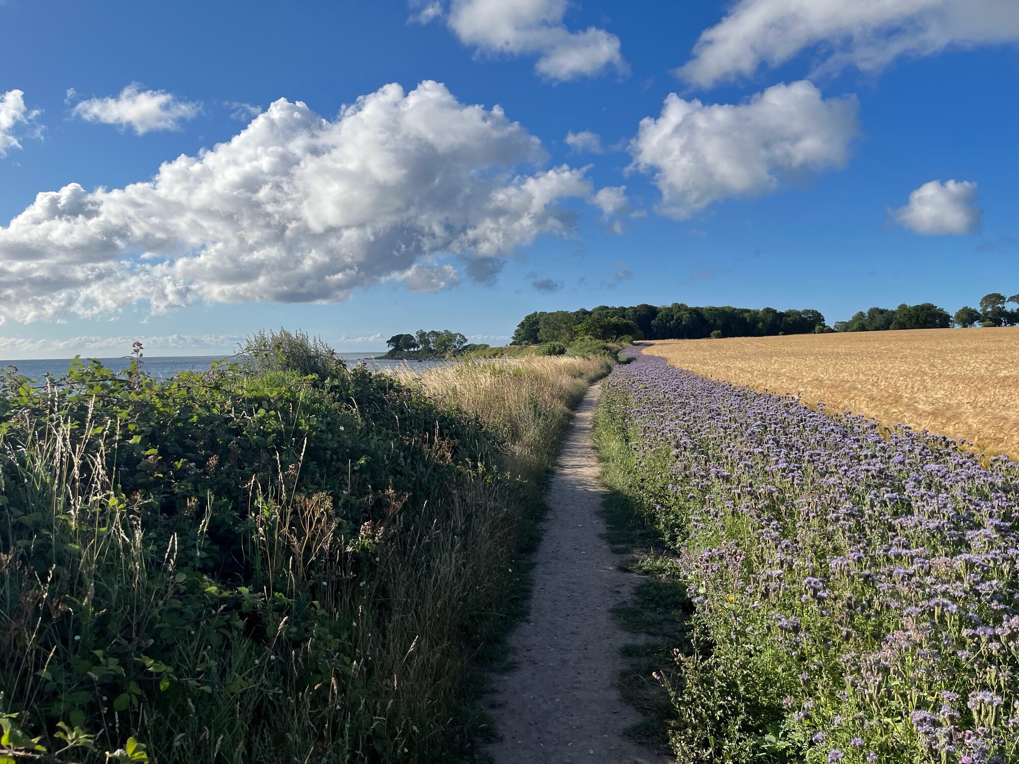 Fastest Known Time for Peter Huggett on Fehmarnumrundung